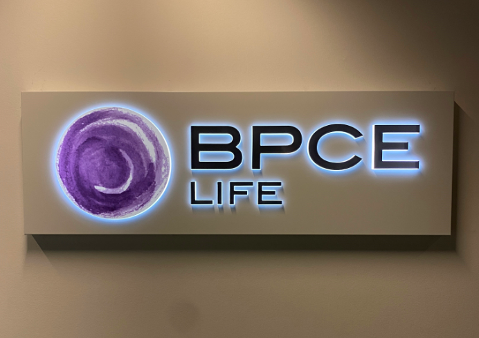 L’expertise luxembourgeoise - BPCE LIFE